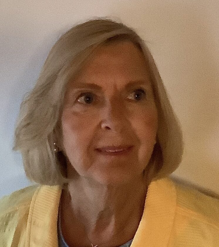 Penfold seeking Dunkirk board seat | News, Sports, Jobs - Observer Today